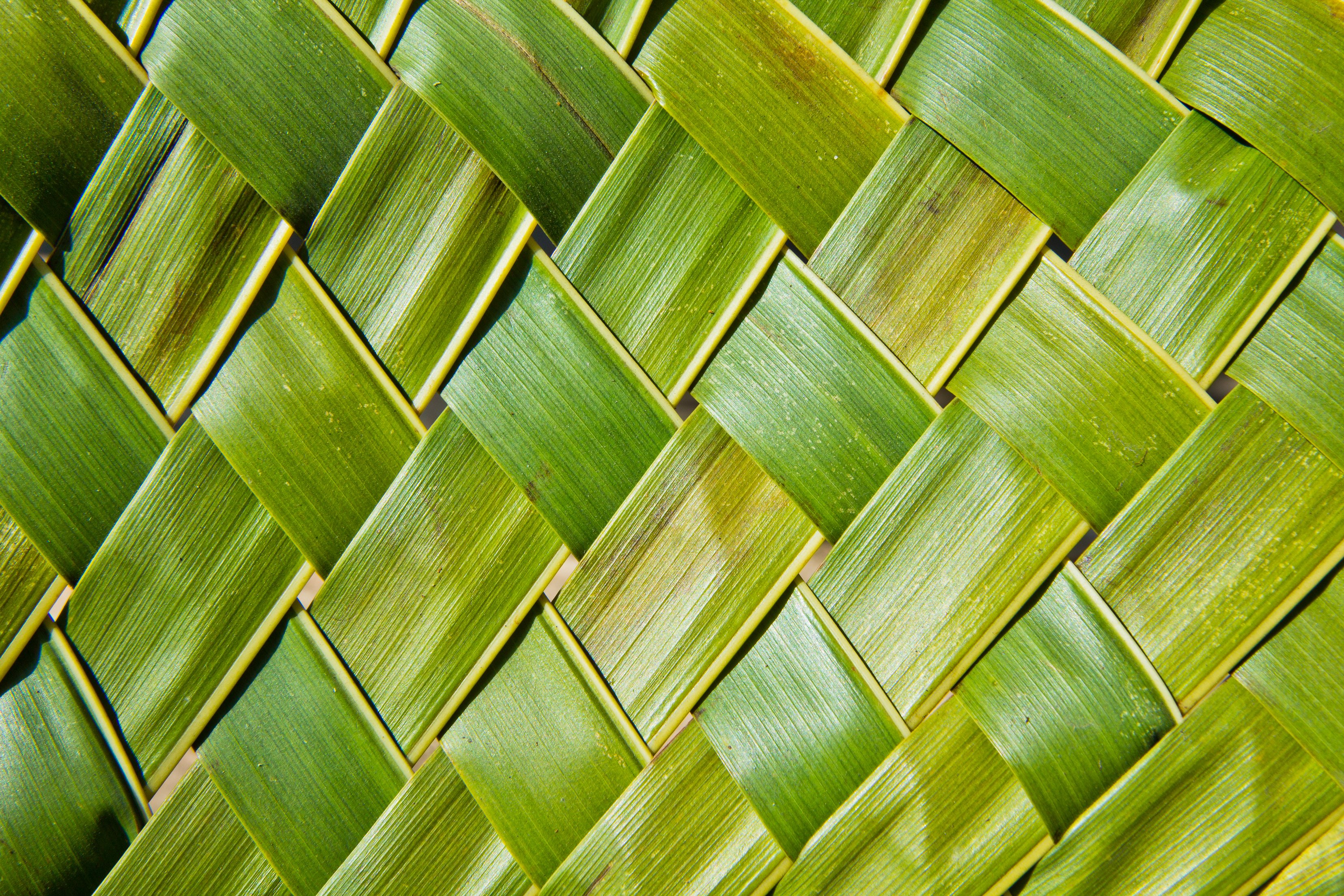 Evergreen Funds and the Evolution of Private Company Investing | EquityZen
