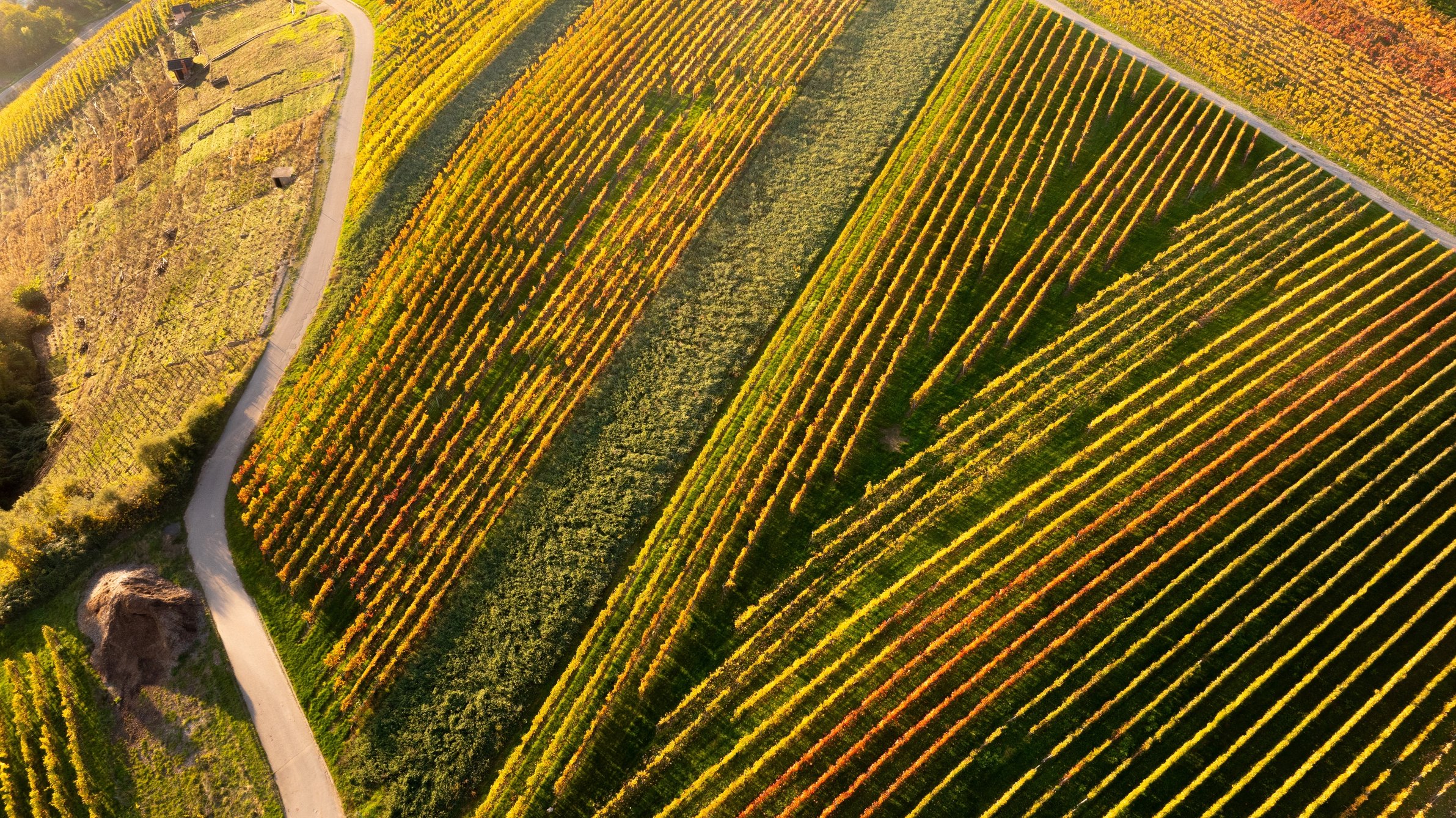 EquityZen Blog - Private Market Insights