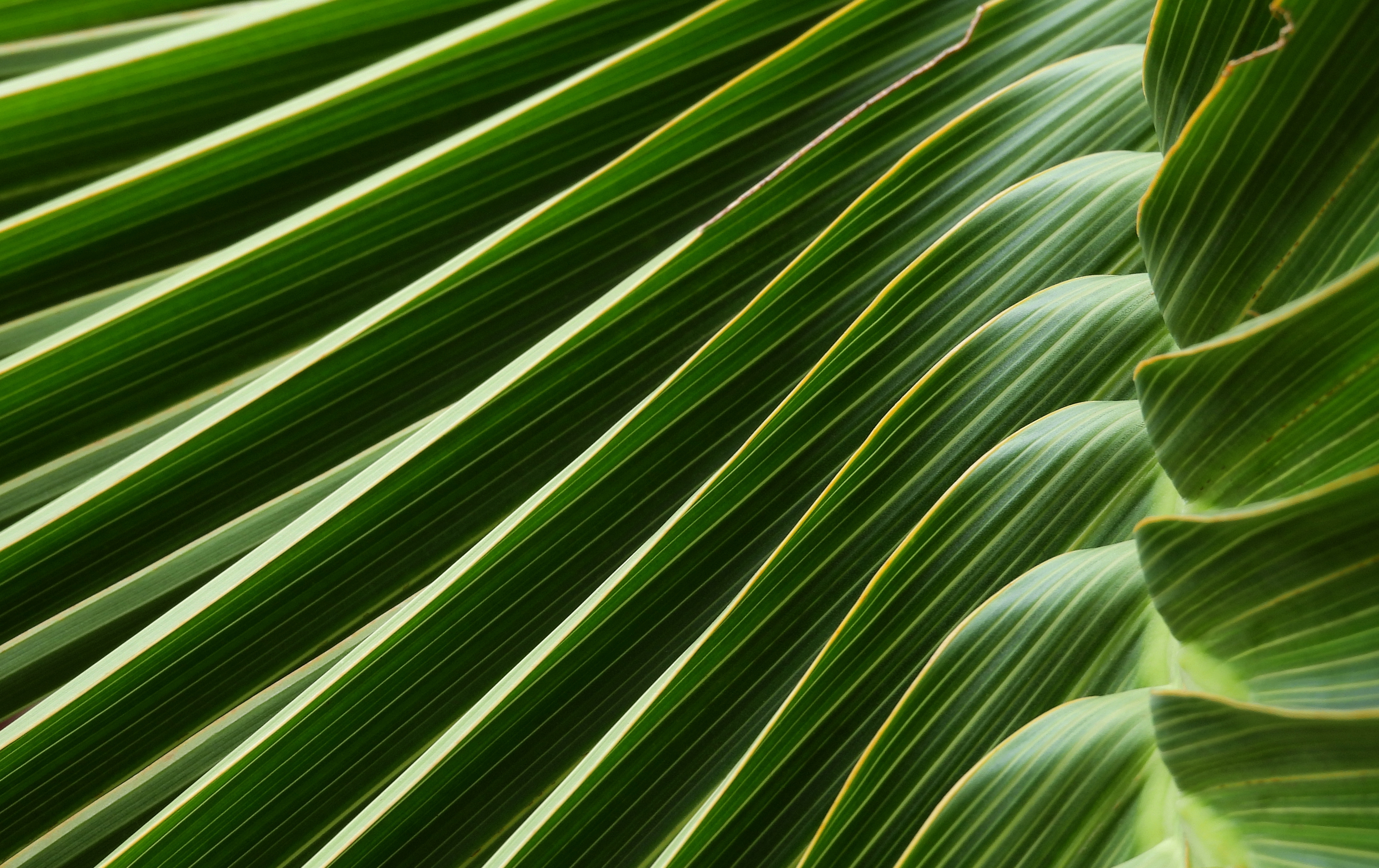 How Does Dilution Impact my Investment? | EquityZen